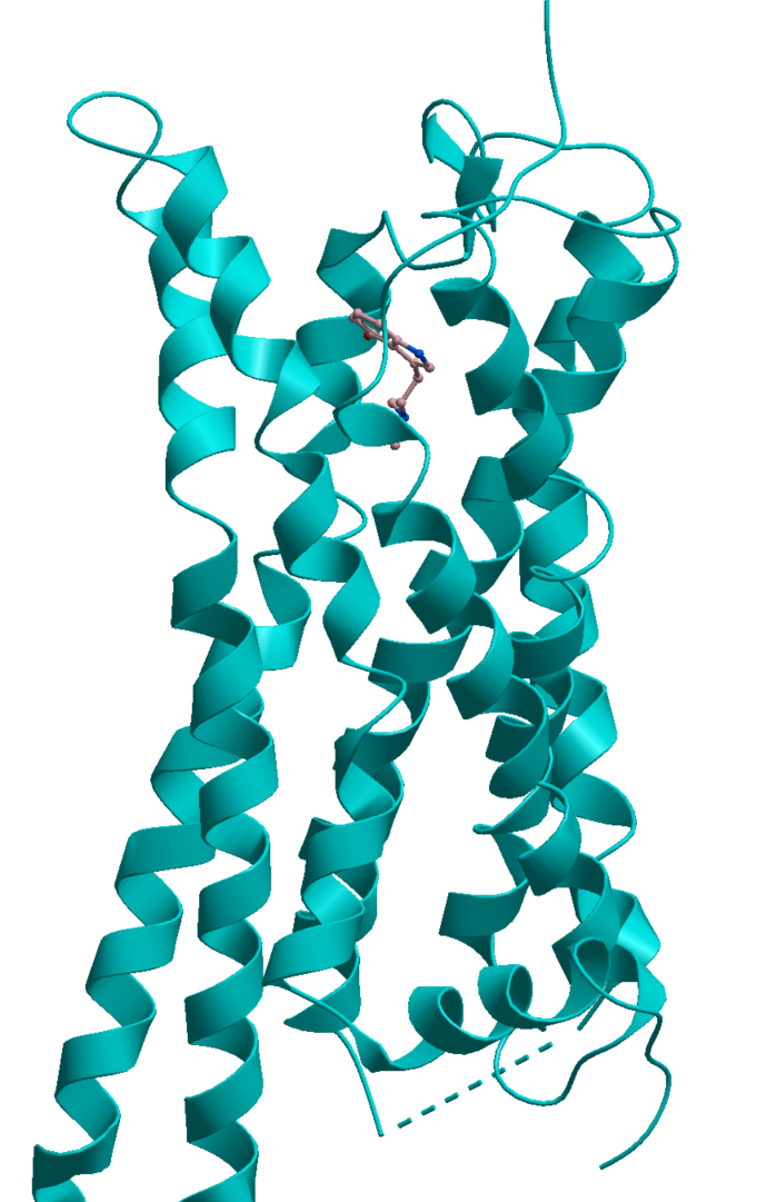 Psilocybin acts on receptors of nerve cells – Psilosophy: the Science ...